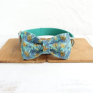 FLOYINM Personalized ID Dog Collar and Leash Set Turquoise Designer Pet Collar with Bow Quick Release Adjustable Dog Collar Walking Lead (Color : C, Size : L)