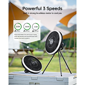 Aluan 11'' Camping Fan Outdoor Fan for Patios 12000mAh Battery Operated Tent Fan with LED Lantern, Power Bank, Remote Control, Quiet Rechargeable Portable Fan for Camping, Travel, Outdoor