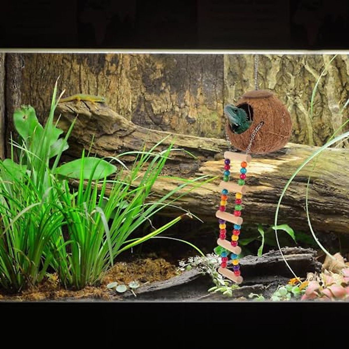 Ipetboom Toys Reptile Decor Terrarium Hideout House for Pet Hideout with Ladder Toy Bed for Pet Breeding Nest Hanging Hideout Nest with Ladder Sleeping Nest Coconut Wooden Parrot Supplies