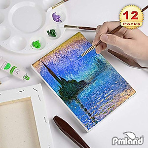 PMLAND Bulk Pack of 12 Stretched Canvas Panels Board for Acrylic or Oil Painting, Artwork, Crafting - 8 x 10 Inch, 5/8 Inch Thick, Individually Wrapped