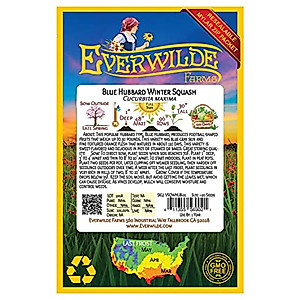 Everwilde Farms - 20 Blue Hubbard Winter Squash Seeds - Gold Vault Jumbo Seed Packet