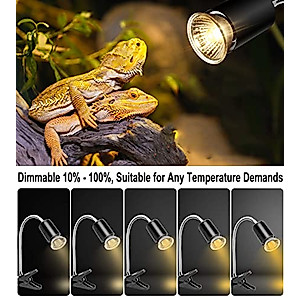 Rnyloas Reptile Heat Lamp 360° Rotatable, Reptile Basking Lamp with Dimmable Switch, 2 Pack Full Spectrum 25W & 50W UVA UVB Bulb for Aquarium, Reptiles,Lizard, Turtle, Snake