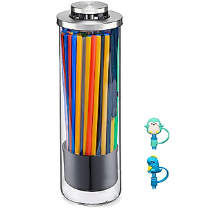Straw Holder Dispenser for Counter - Clear Glass Drinking Straw Container with Lid - 2 Straw Covers and 35 PCS Straws include by BIGINIWA