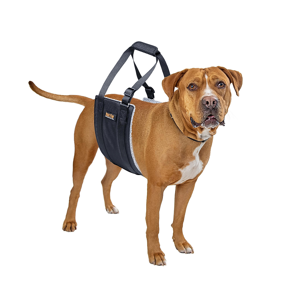 Mighty Paw Dog Lift Harness - 0-20 lbs Dog Hip and Hind Leg Support Sling - Comfortable Assistance for Elderly or Injured Dogs with Hip and ACL Brace - Back Support Harness Carrying Sling - Small