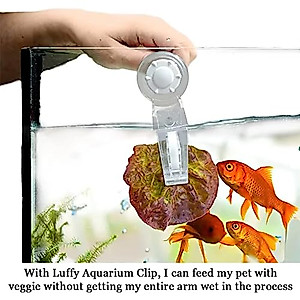 Luffy Betta Indian Almond Catappa Leaf Holder, 4" x 2" Large Suction Cup Clip Hold Plastic Cups for Crested & Leopard Gecko, Veggie & Seaweed Holder, for Goldfish, Guppy, Shrimp & Freshwater Fish