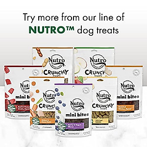 NUTRO Mini Bites Dog Treats Beef & Hickory Smoke Flavor, 4.5 oz. Bag