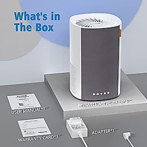 Air Purifiers for Bedroom Home, ECOWELL HEPA H13 Filter Air Purifiers for Home Large Room Office Living Room, Small Air Purifier for Pet Dander Odors Smokers Pollen Dust, Air Cleaner with Sleep Mode