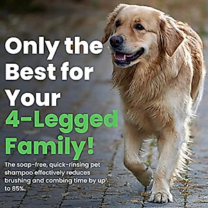 Best Shot Ultra Dirty Wash Shampoo, Coat and Skincare Product for Dogs and Cats, Soap-Free, Quick-Rinsing, Refreshing Agree Musk Fragrance, 16 Oz