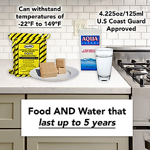 Ready America 70380 72 Hour Emergency Kit, 4-Person, 3-Day Backpack, Includes First Aid Kit, Survival Blanket, Emergency Food Portable Disaster Preparedness Go-Bag for Earthquake, Fire, Flood