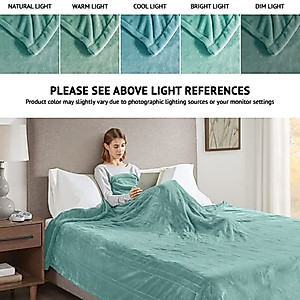 Beautyrest Plush Electric Blanket for Cold Weather, Fast Heating, Auto Shut Off, Virtually Zero EMF, Multi Heat Setting, UL Certified, Machine Washable, Aqua King (90 inx100 in)