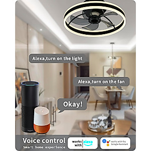 DewShrimp Low Profile Bladeless Ceiling Fan with Speaker, 19.8" Smart Fan Compatible with Alexa/Google Assistant/App Control, 6 Speed Flush Mount Dimmable LED Lights