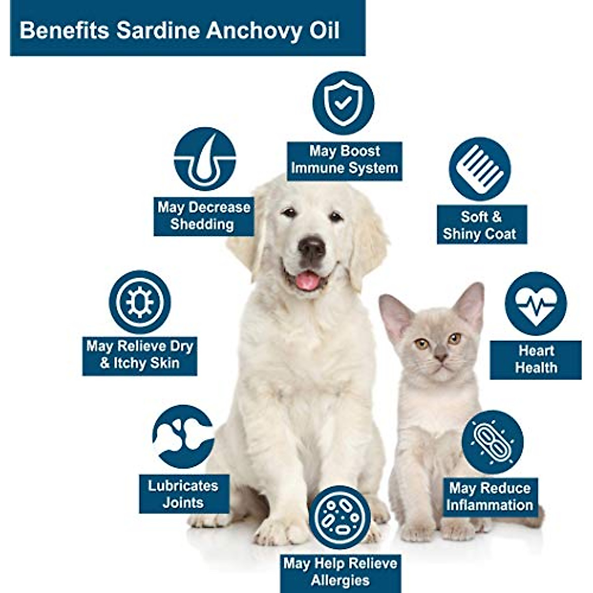 Iceland Pure Unscented Pharmaceutical Grade Sardine Anchovy Oil - BPA-Free Safe, Pure Omega 3 Fish Oil for Dogs and Cats - BPA-Free Brushed Aluminum Epoxy coated Bottle with Pump 33oz
