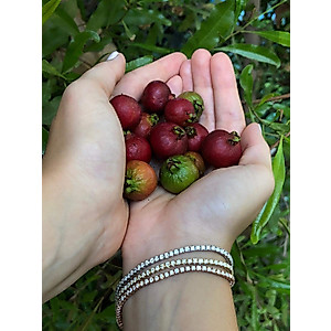 Starain Tennis Bracelets for Women White Cubic Zirconia Bling Bracelet,Rose Gold Copper Beaded Bracelet Cuff Bracelet Set