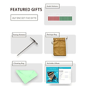 Hluru 21 Key Ocean Kalimba | Round Corner Resin & Beech Material Whale Jellyfish Thumb Piano Blue, HL-21BON