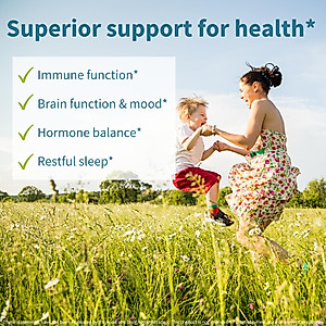 Igennus Neurobalance, High Absorption Chelated Zinc Picolinate 24mg, Magnesium & Vitamin B6, Brain, Sleep & Immune, Magnesium Stearate and Oxide-Free, Non-GMO, 120 Tablets