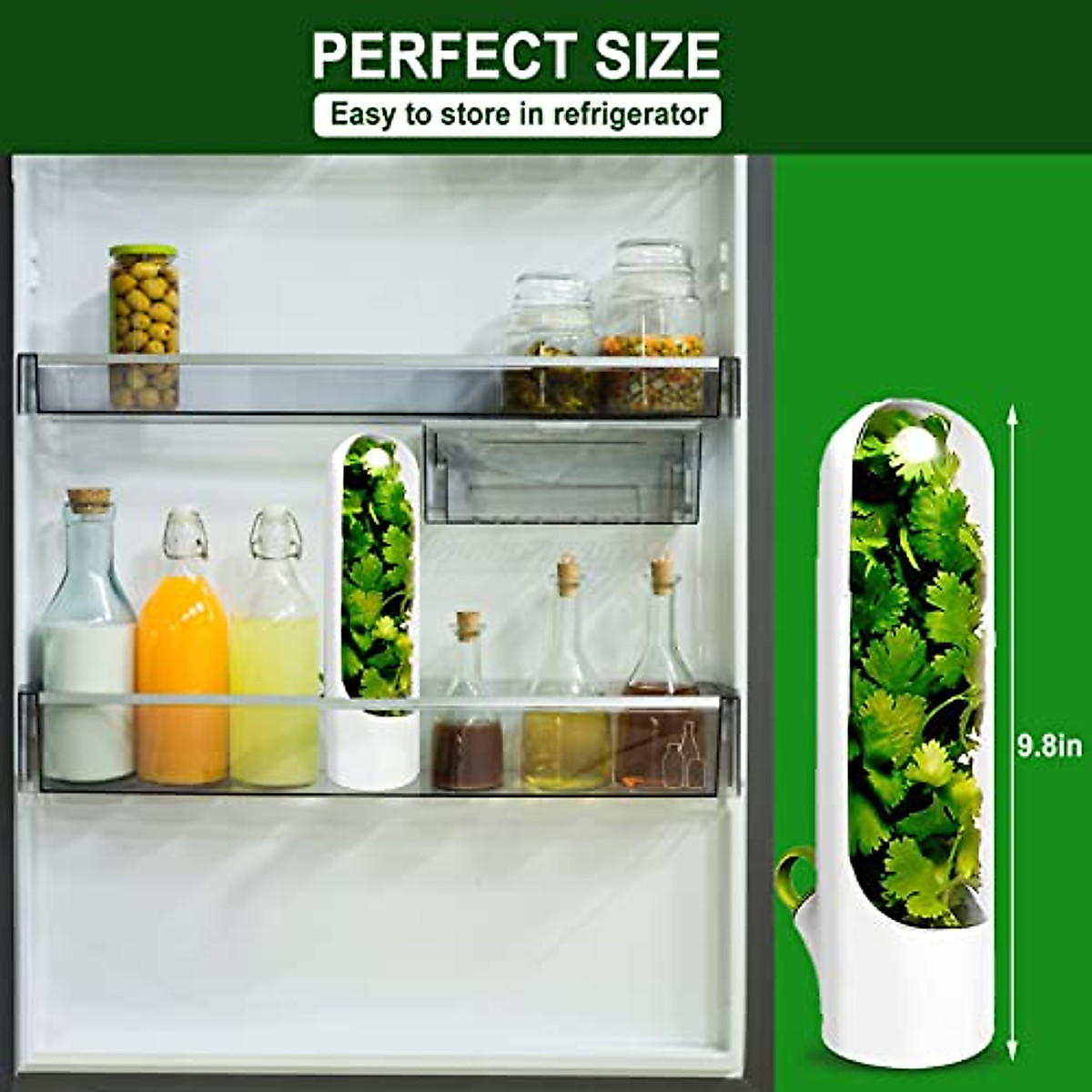 plplaaoo Herb saver pod, Herb Storage Container clear windowed,good watertight integrity,Fits in all standard refrigerator doors for Cilantro Mint Parsley Asparagus