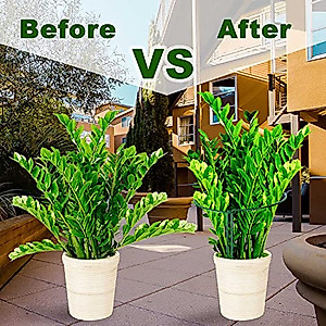 HiGift 6 Pack Plant Support Plant Stakes, Metal Garden Peony Support Cages, Outdoor Plant Support Ring Cage,Large Plant Support Stakes for Tomato,Rose,Flowers Vine,Indoor Plants (10" W x 15.8" H)