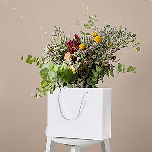 12 Pack Medium Gift Bags with Ribbon Handles & Tissue bags, White Gift Bags for Shopping, Small Business, Bridal Party, Wedding, Baby Shower, Bridal Party, Christmas and Holiday (10.6” x3.1” x8.3”)