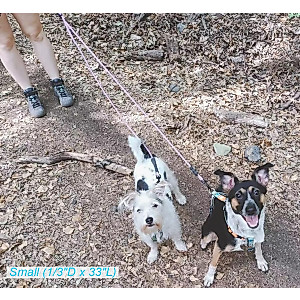 Mycicy Double Dog Leash Coupler, Extension Rope for Two Dogs, No Tangle Dual Dog Lead Splitter for Small Medium Dogs 10-35 lbs (1/3" X 33"- Pinkblue)