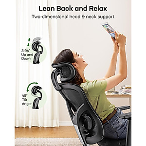 Marsail Ergonomic Mesh Office Chair: Mesh Computer Desk Chair with Adjustable Lumbar Support, 2D Headrest&2D Armrest, Ergonomic Gaming Chair for Home Office, Black