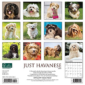 Just Havanese 2021 Wall Calendar (Dog Breed Calendar)