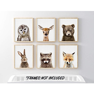 EPHANY Baby Animal Posters and Prints ART - Rabbite Deer Fox Canvas Painting Nursery Pig Wall Art, Piglet Print Wall Art Nordic Picture Kids Room Decoration YMX014 (8"x10"(20x25cm))