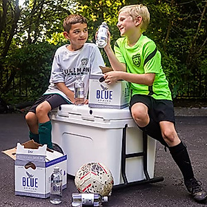 Blue Spring Living Water, Pure Premium Natural Spring Water, pH balance of 7.1-7.2, Bottled Spring Water, 16.9 Fl Oz, (Pack of 12)