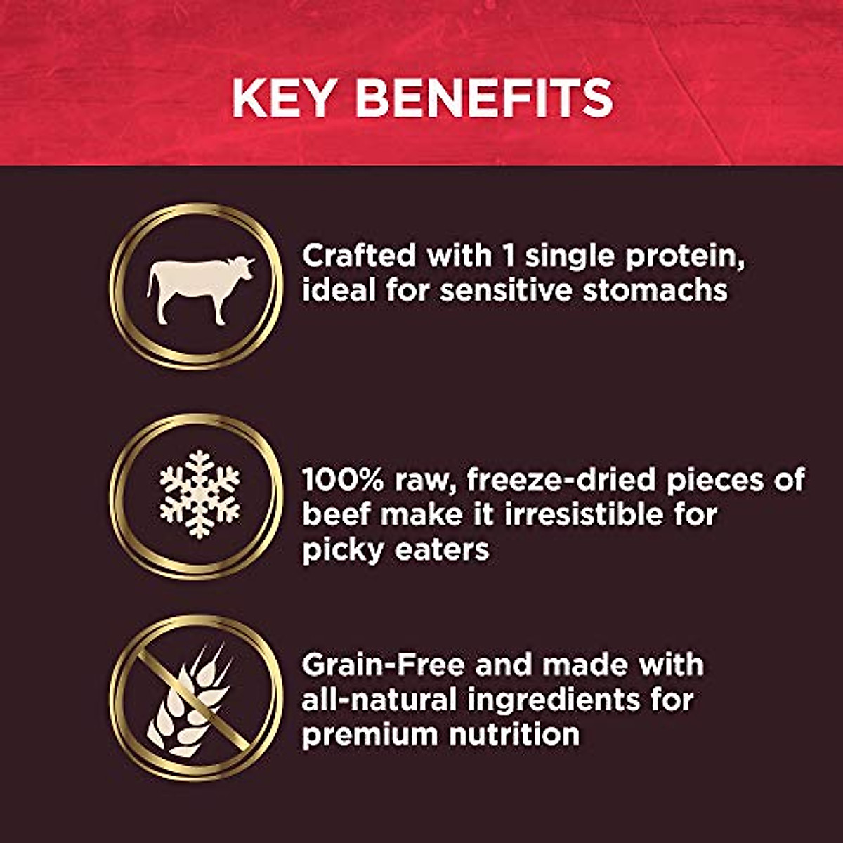 Wellness CORE Bare Bowl Boosters for Dogs, Grain-Free Freeze-Dried Food Mixer Or Topper, Made with Natural Ingredients (Beef, 4-Ounce Bag)