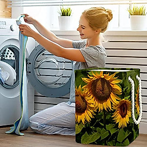 Inhomer Sunflower Three Flower Plant Supplies Yellow Large Laundry Hamper Waterproof Collapsible Clothes Hamper Basket for Clothing Toy Organizer, Home Decor for Bedroom Bathroom