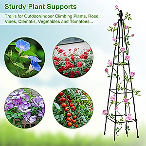 Garden Trellis for Climbing Plants Outdoor, deaunbr Plant Support Tower Obelisk Trellis 63'' Garden Trellises for Vines, Flowers, Indoor Potted Plant, Rose, Cucumber, Tomato, Pea, Clematis (1 Pack)