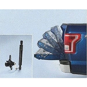 Ford Genuine HC3Z-99406A10-A Bed Tailgate