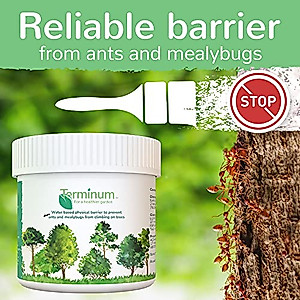 TERMINUM Ant Barrier - Water-Based Barrier, Ready-to-Use Physical Barrier for Ants & Mealybugs - Complete Control Kit for Gardens, Plantations, Farms, & Outdoors - 11oz