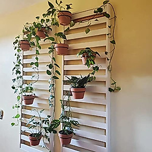 6 Pack 8 Inch Wall Flower Pot Holder Ring Plant Hanger, Metal Planter Hooks Wall Mounted Bracket Heavy Duty for Outdoor Indoor