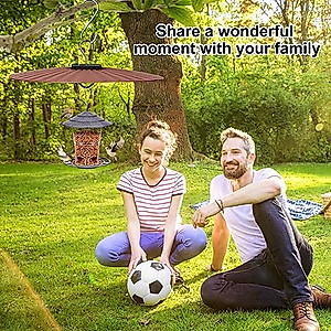 Bird Feeder Baffle with Solar Lamp, Wide Diameter Hummingbird Feeders Covers,Weather Guard Protect Feed from Sun and Bird Seed Dry,for Hanging Bird Feeders Guard-13inches