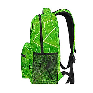 ZZKKO Animal Frog Tree Leaf Boys Girls School Computer Backpacks Book Bag Travel Hiking Camping Daypack