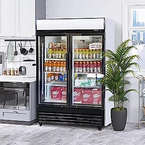 FRICOOL 51" Commercial Glass 2 Door Display Refrigerator Merchandiser - Upright Beverage Cooler With Led Lighting