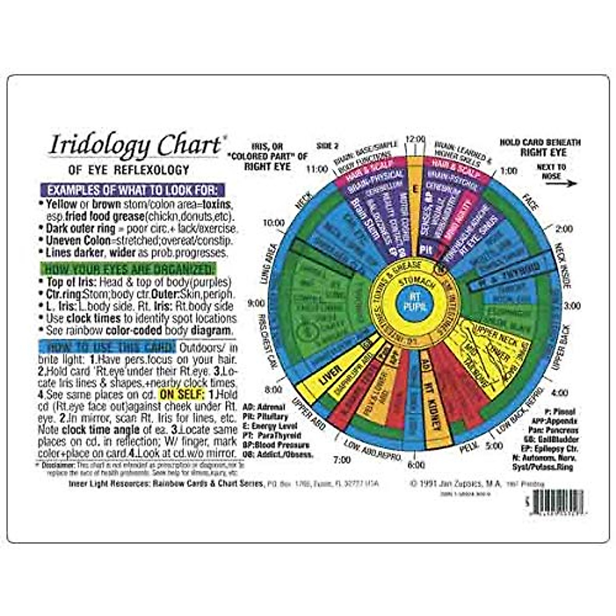 IRIDOLOGY CHART of EYE Reflexology (Rainbow Coded) in the Inner Light Resources Rainbow® Cards & Charts Series. 8.5 x 11 in. (Small Poster/ Large Card)