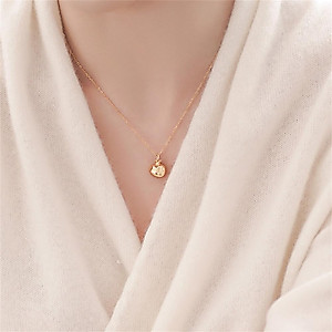 ZEBRAGO Premium Cubic Zirconia Inlay Red Pomegranate Pendant 18k Gold Plated Stainless Steel Necklaces for Women