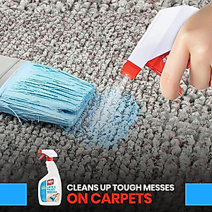 Max Strip Latex Paint Remover 22oz | Fast-Acting Water-Based Formula | Safely Removes Latex, Acrylic | For Wood, Metal, Concrete & Multiple Surfaces | Ideal for Drips, Spills & Overspray