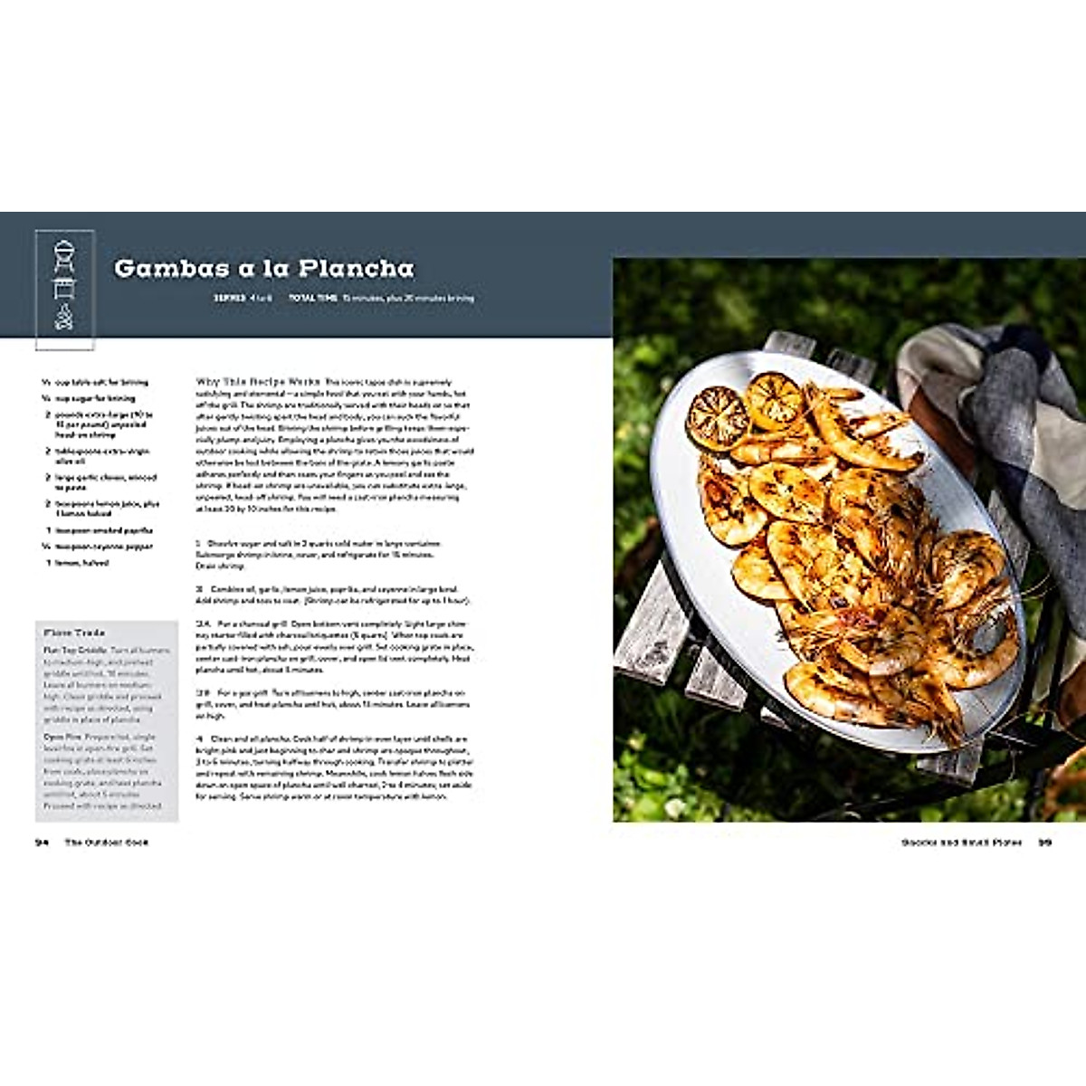 The Outdoor Cook: How to Cook Anything Outside Using Your Grill