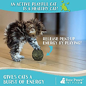 Raw Paws Natural Catnip Ball for Cats (6-ct) - Interactive Cat Toy for Indoor Cats - Cat Ball Toy - Kitten Toys - Cat Nip Ball Cat Toy - Cat Lick Ball - Cat Nip Cat Toys Balls - Catnip Ball Toy