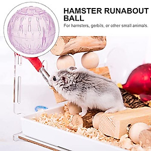 ULTECHNOVO Hamster Ball, Hamster Running Ball 10cm Transparent Run Exercise Ball Portable Mini Ball Hamster Plaything Toy Pets Cage Accessories for Small Animal Pets