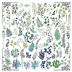 56PCS Middle Size Plants Scrapbook Stickers - Doraking DIY Decoration Transparent Sulfuric Paper Plants Stickers for Scrapbook Decoration Without Repeat