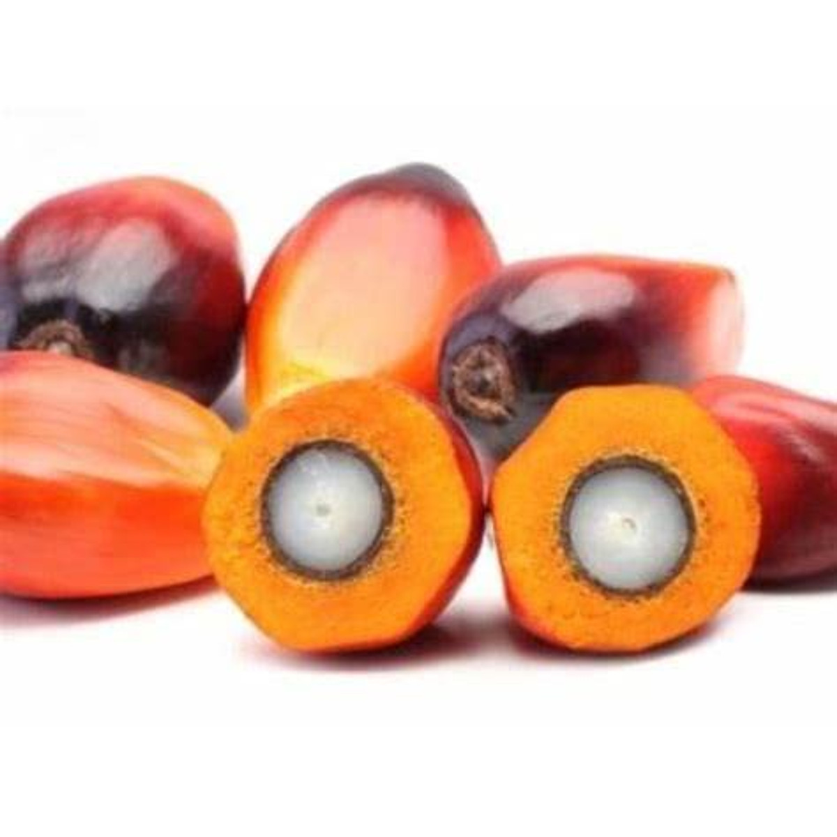 Flourish Naturals Organically Crafted Batana Oil 4oz Hair Conditioner 4 Fl Oz (Pack of 1)