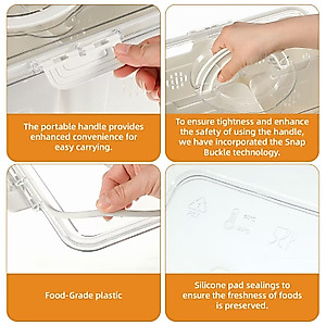 HNXAZG Divided Serving Tray with Lid and Handle, 4 Compartments Fruit Storage Containers, Food Storage Containers for Fruit, Vegetable, Entertaining, Party, Picnic, White