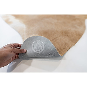 Genuine Palomino Beige and White Cowhide Rug 6 x 7-8 ft. 180 x 240 cm