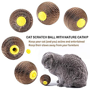 AREIIA Catnip Ball Toy for Cats Catnip Refillable Scratcher Ball Kitty's Faithful Playmate Reduce Obesity and Loneliness CSB01BR