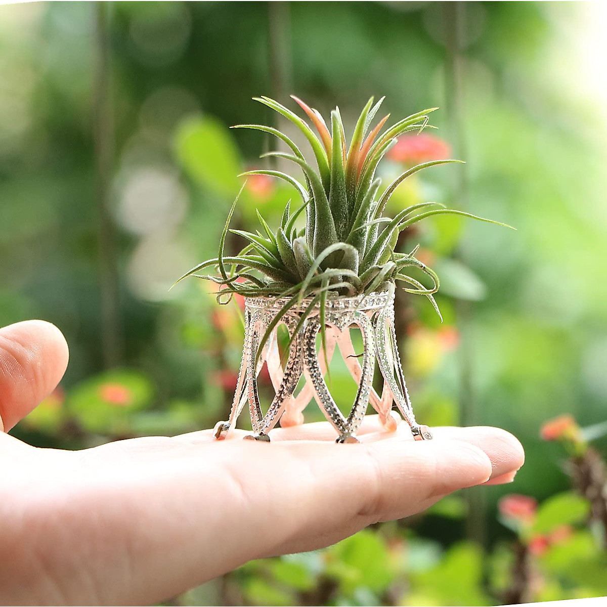 Newwe Pack of 3 Silver Air Plant Holder Cute Crystal Tillandsia Display Container Home Decors Office Desktop Marble Egg Sphere Stand