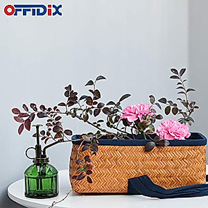 OFFIDIX Glass Plant Mister, 6.3 Inches Tall Vintage Style Spritzer Bronze Plastic Top Pump One Hand Watering Can Indoor Plant Spray Bottle for Garden, Plants, Cleaning (Dark Green)