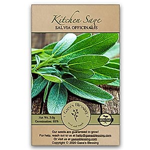 Gaea's Blessing Seeds - Sage Seeds (1.5g) Non-GMO Seeds with Easy to Follow Planting Instructions - Heirloom 88% Germination Rate